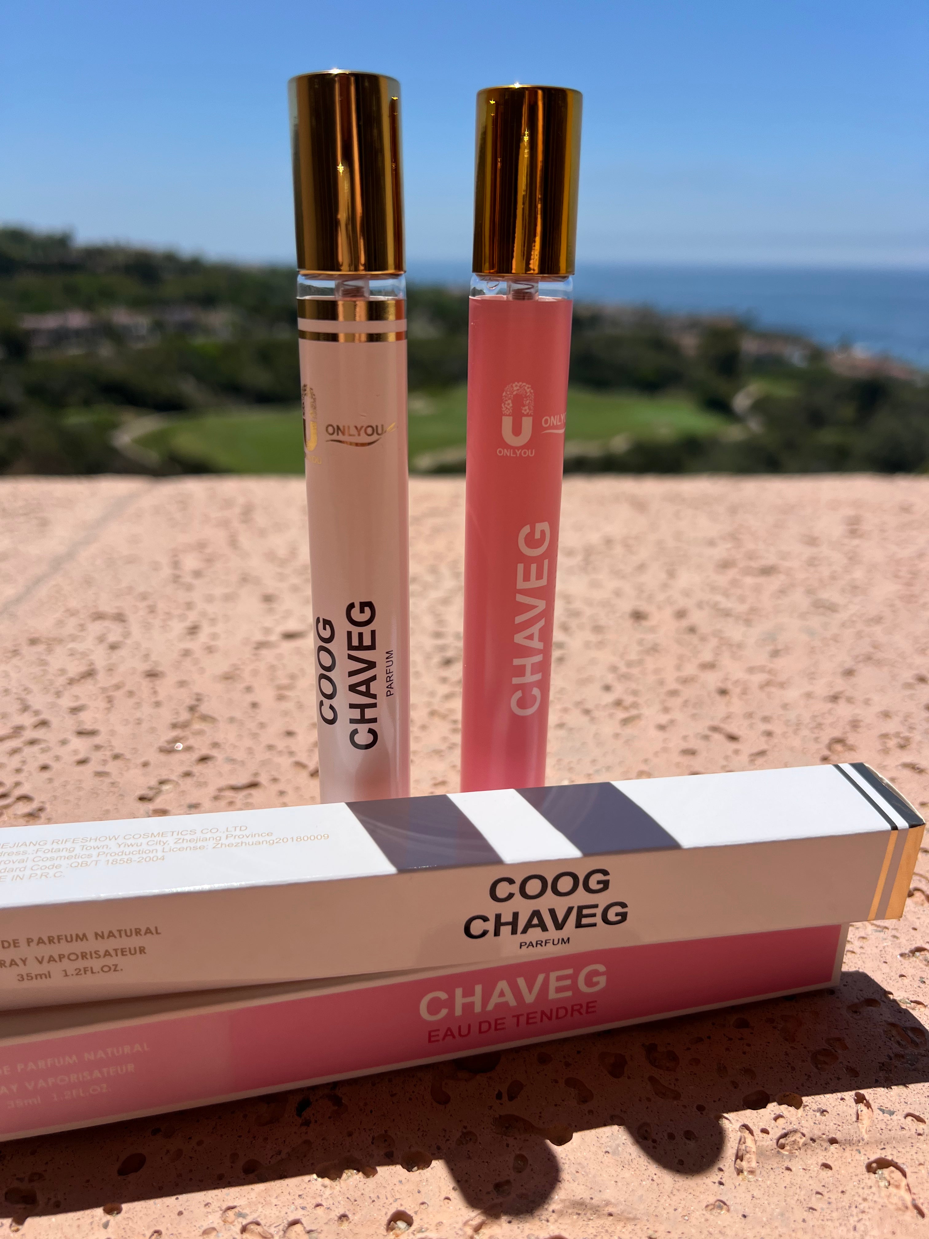 LACI'S Favorite Perfume DUPES CHANCE or COCO – Simply Obsessed